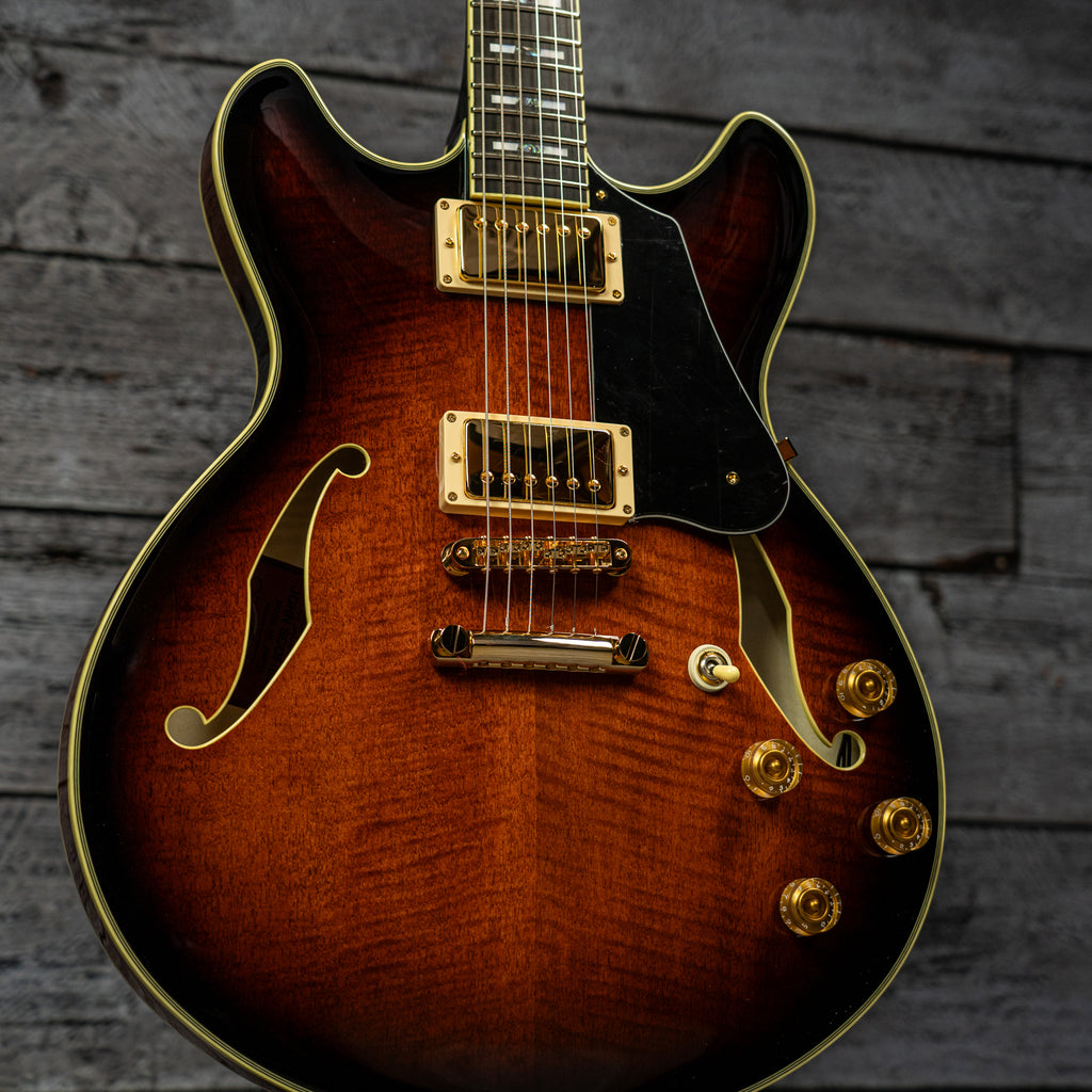 Ibanez John Scofield Signature JSM100 - Vintage Sunburst