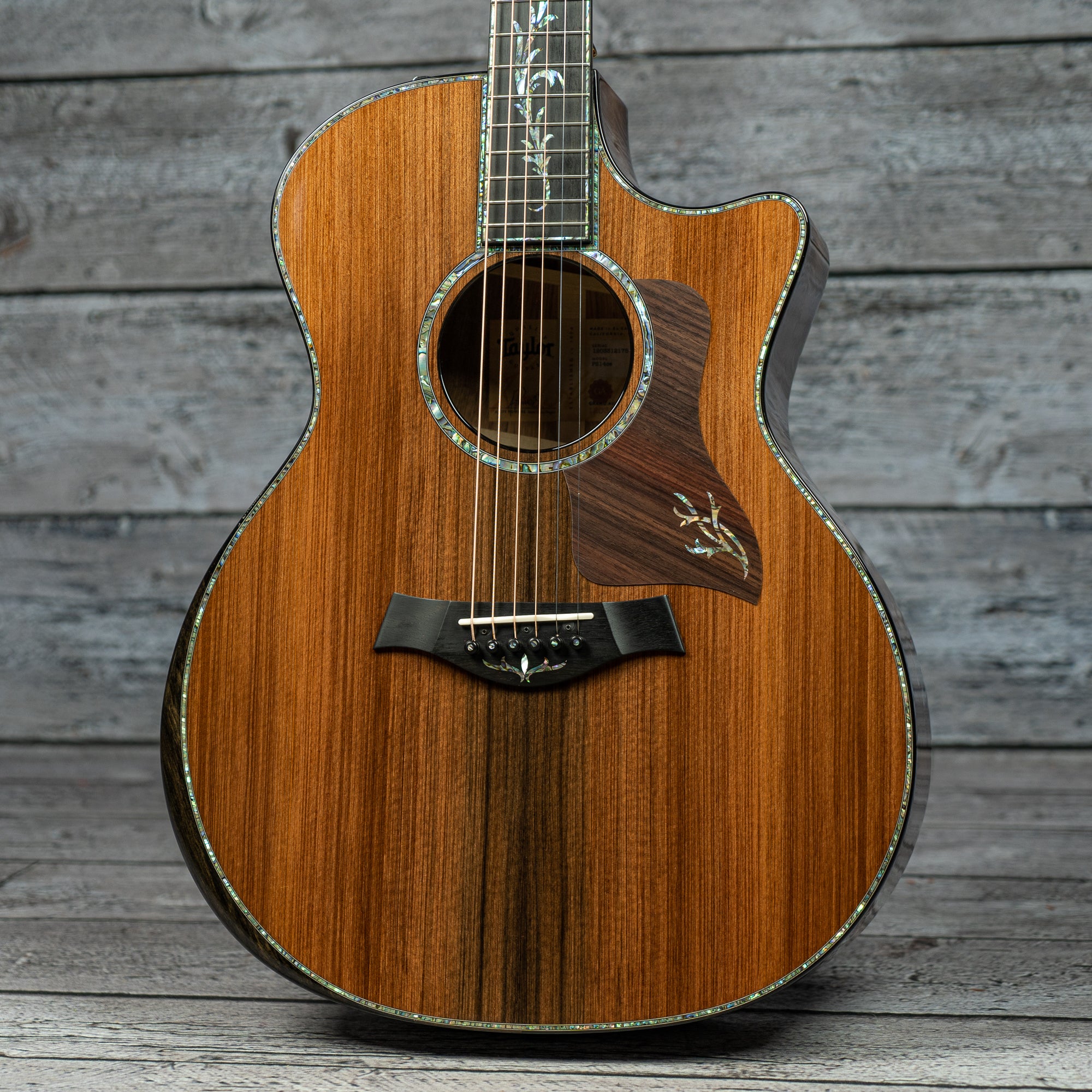 Taylor PS14ce